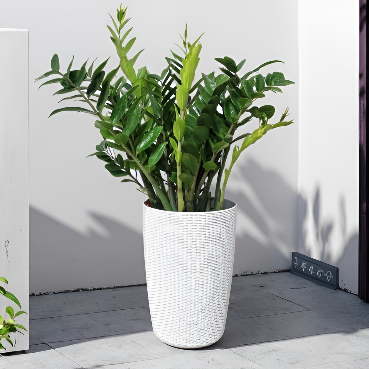 Ember Plant - Premium Artificial Decorative Plant for Home & Office ...